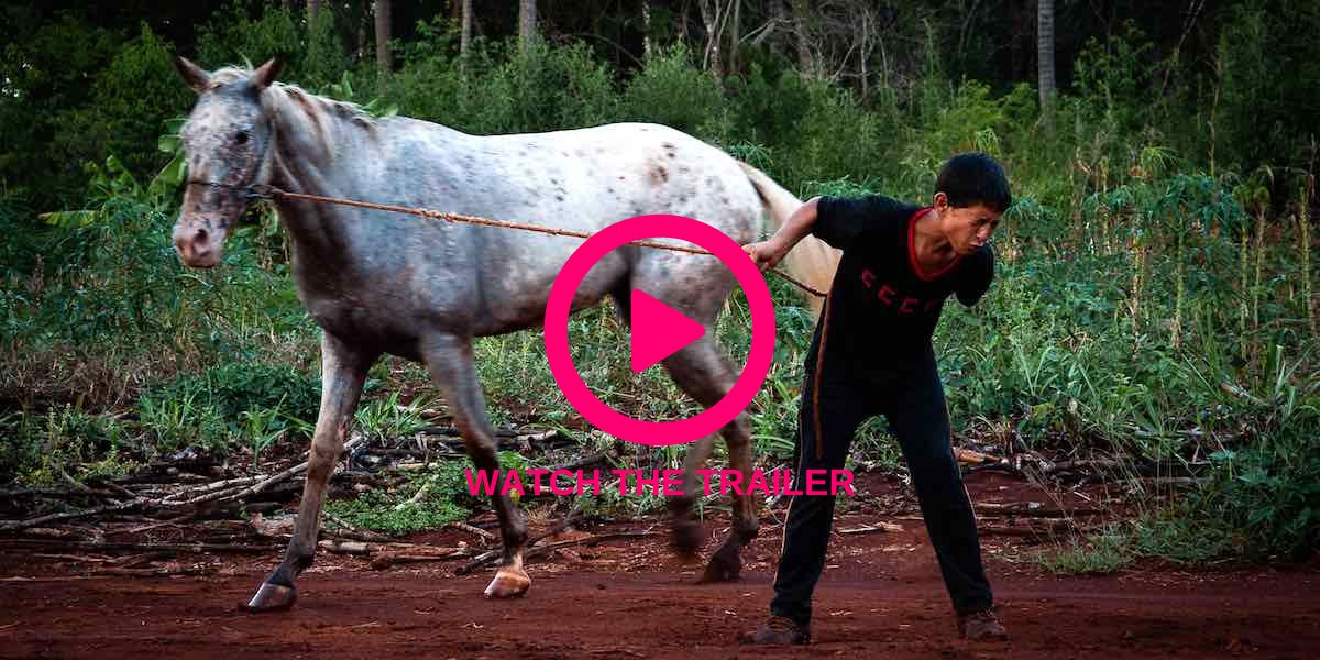 Pragda News: July 2023 Newsletter