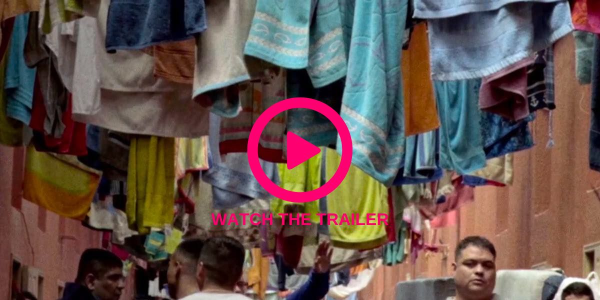 Pragda News: July 2023 Newsletter