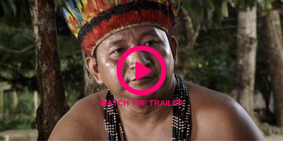 Pragda News: November 2023