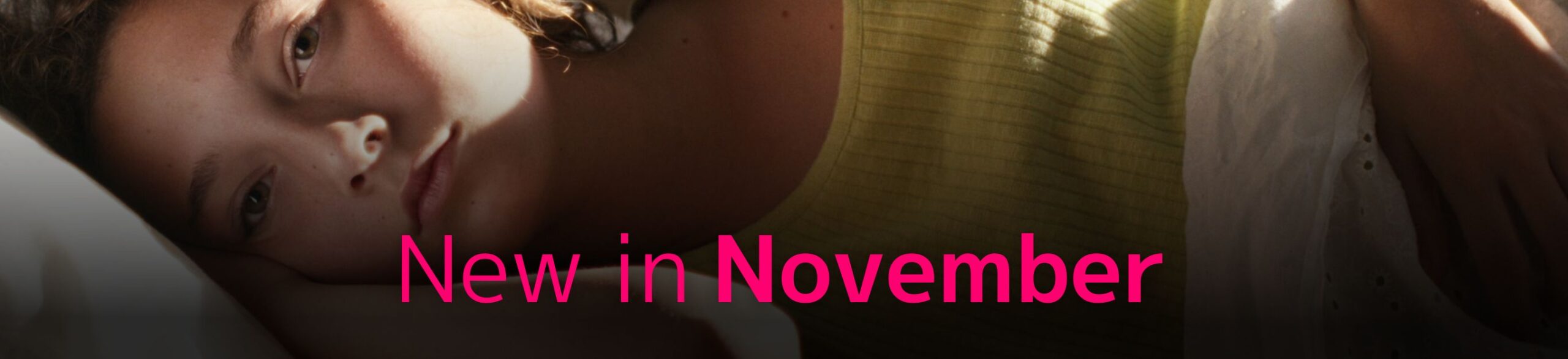 Pragda News: November 2024